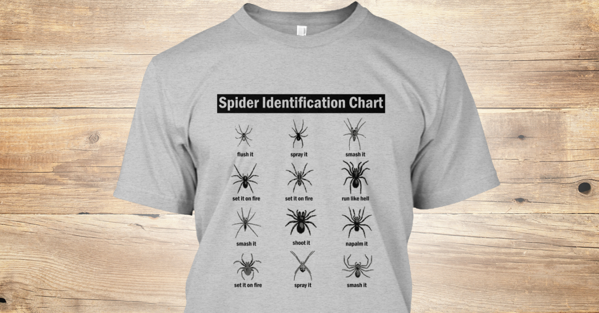 Spider Identification Chart - spider identification chart Products from ...